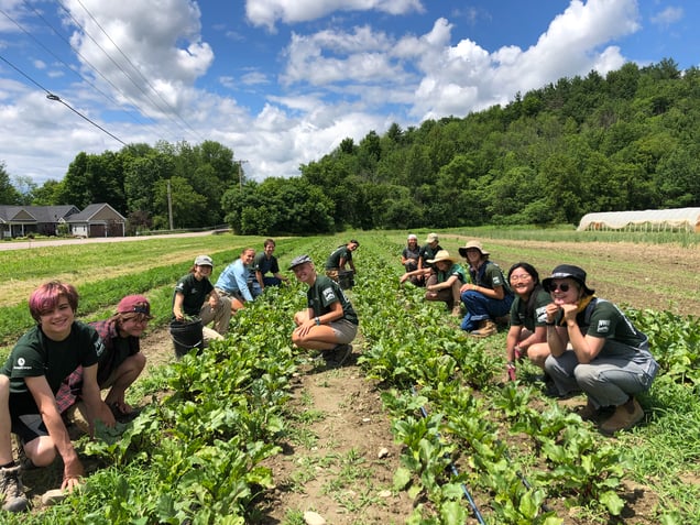 Practical Activist Q&A Featuring: Susie Walsh Daloz, Vermont Youth ...