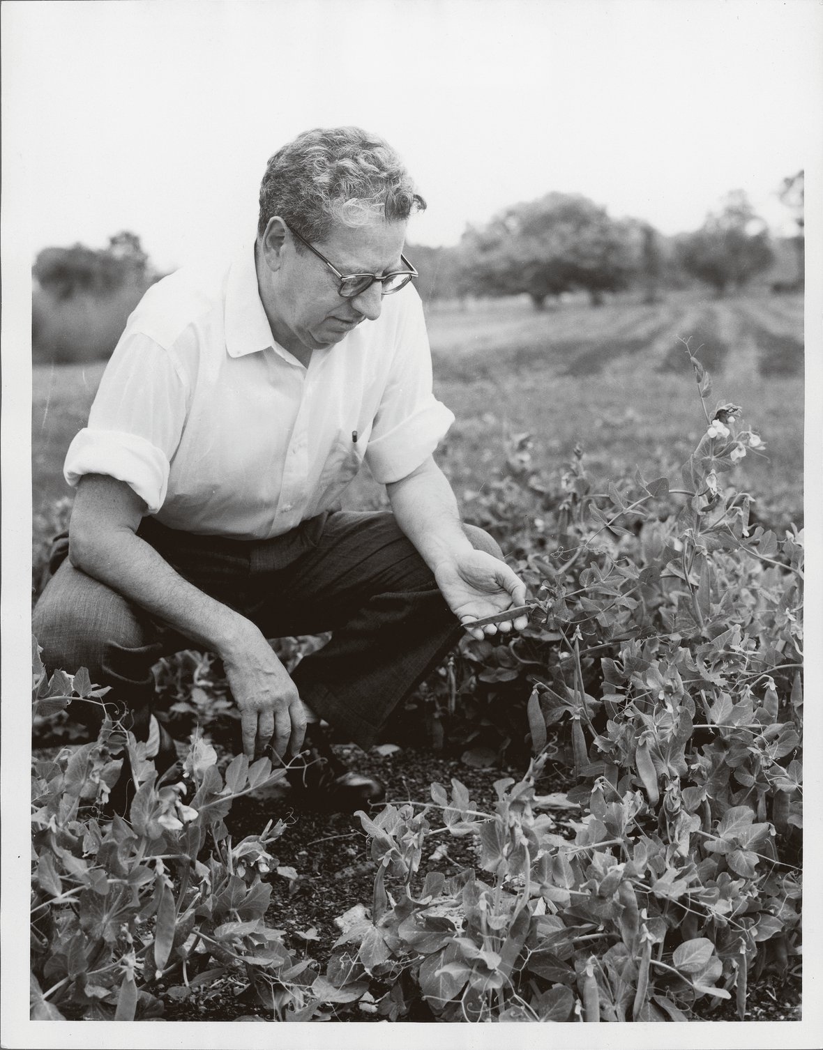 Practical Activist Q&A featuring: Jeff Tkach, Rodale Institute