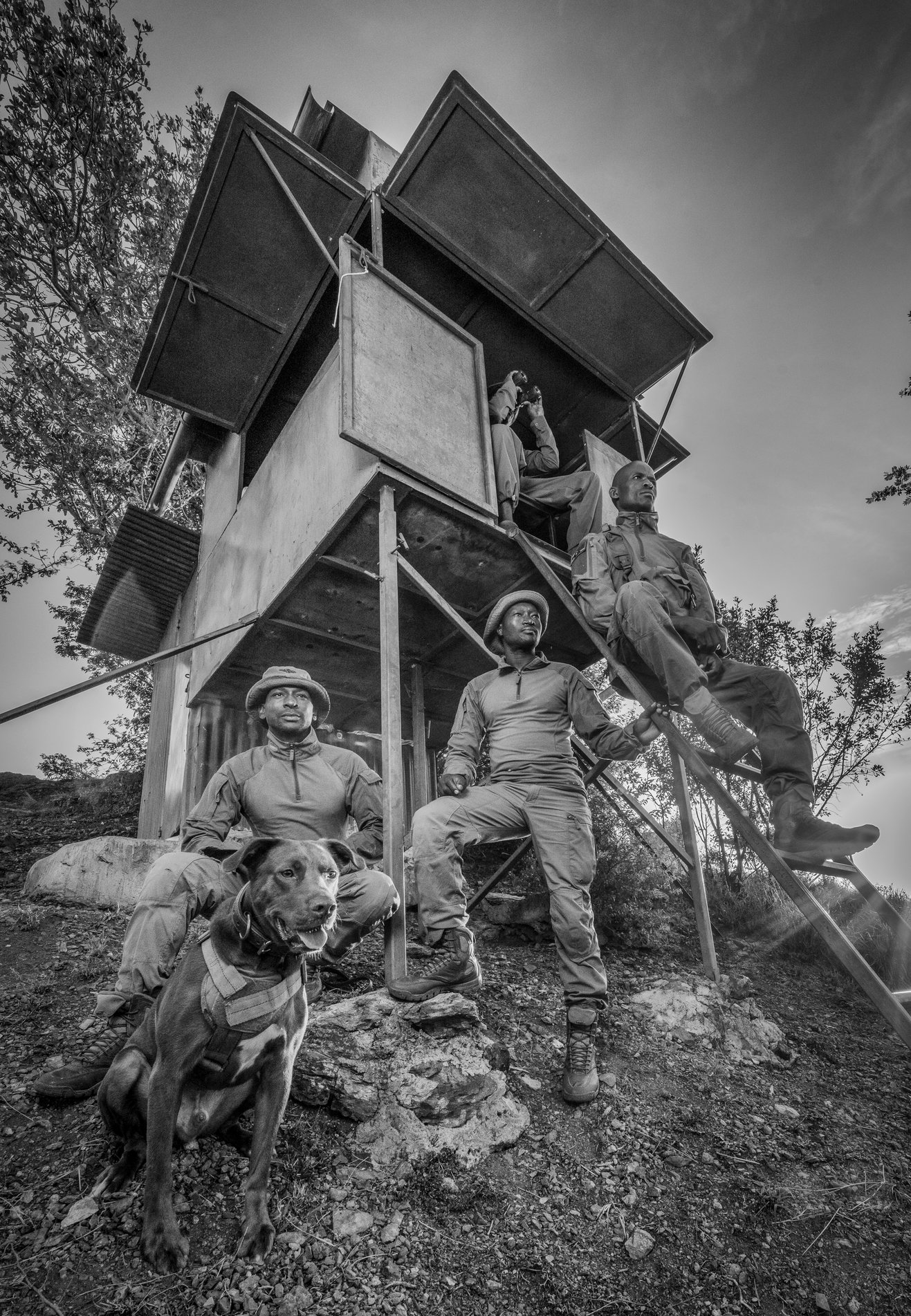 A Practical Activist with Paws: Meet Tygee, Working Dogs for Conservation