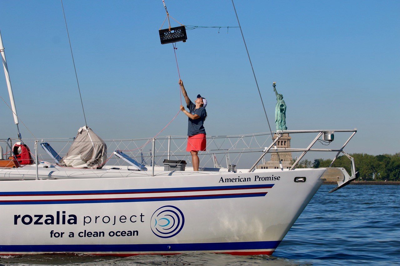 Practical Activist Q&A: Microplastics revealed With Rachael Miller at ...