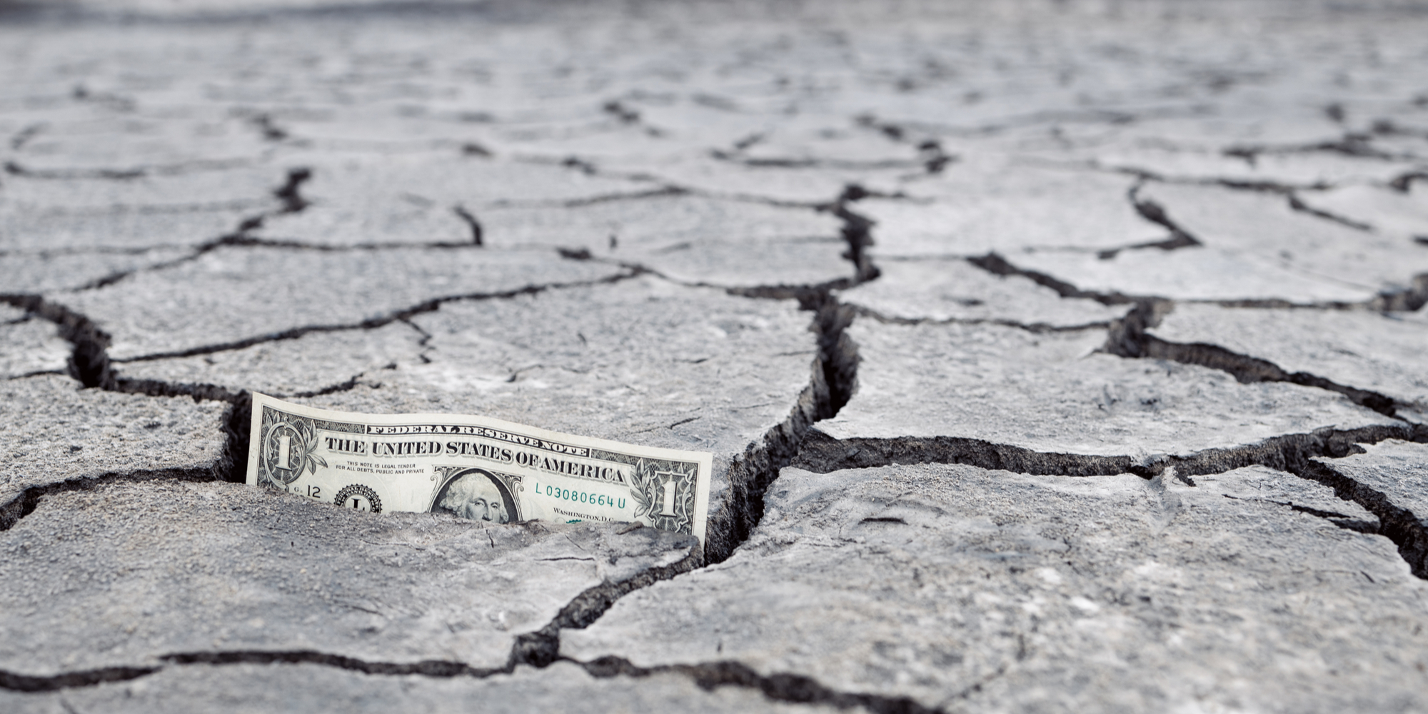 Practical Activists: Pete Hellwig and Ravi Mikkelsen, Atmos Financial